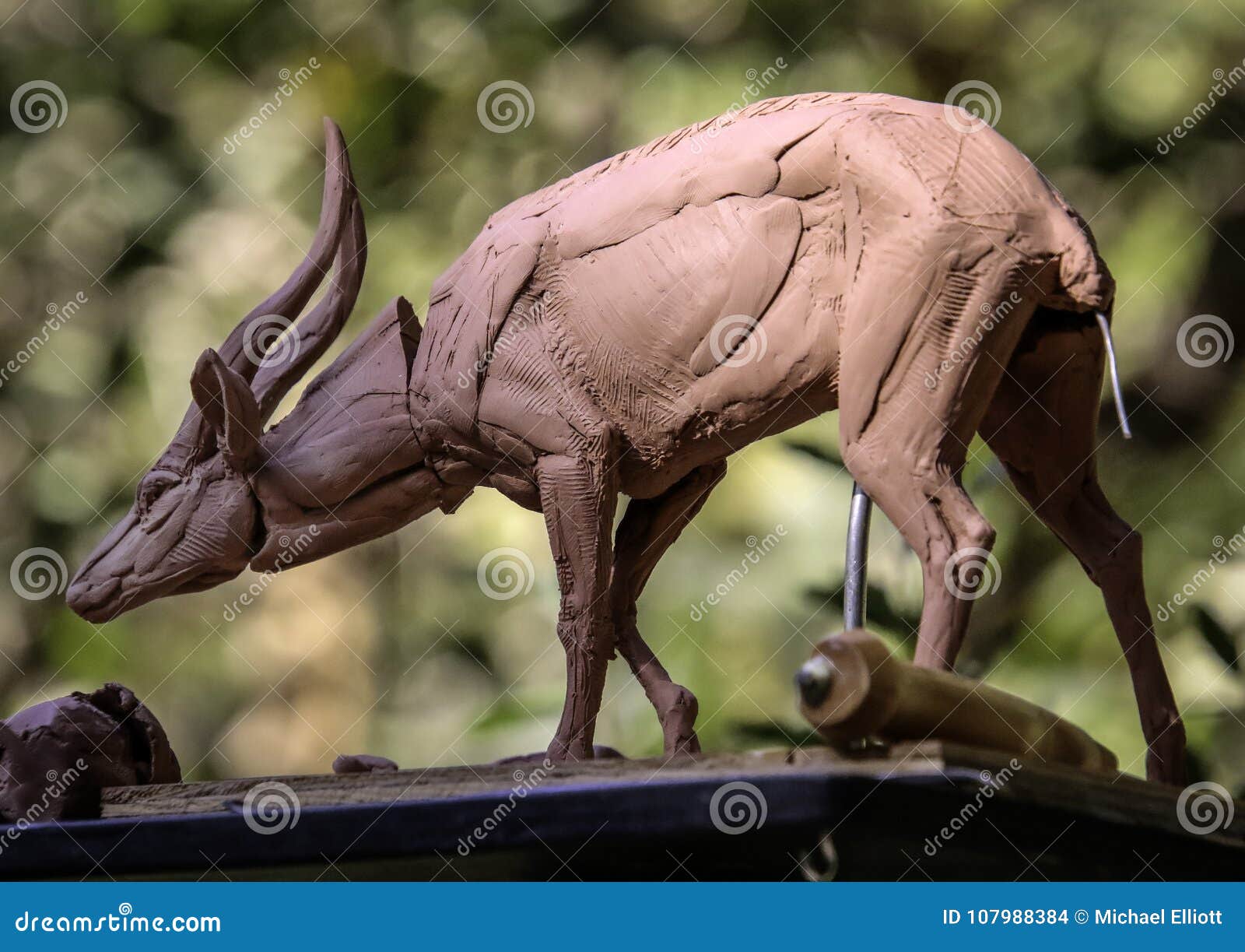 Bongo Antelope Sculpture stock photo. Image of portrait - 107988384