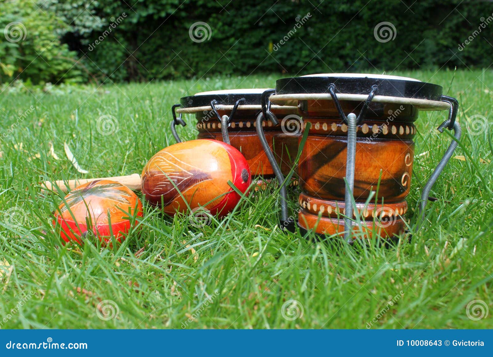 Bongos and Maracas on Grass Stock Image - Image of objects, grass: 10008643
