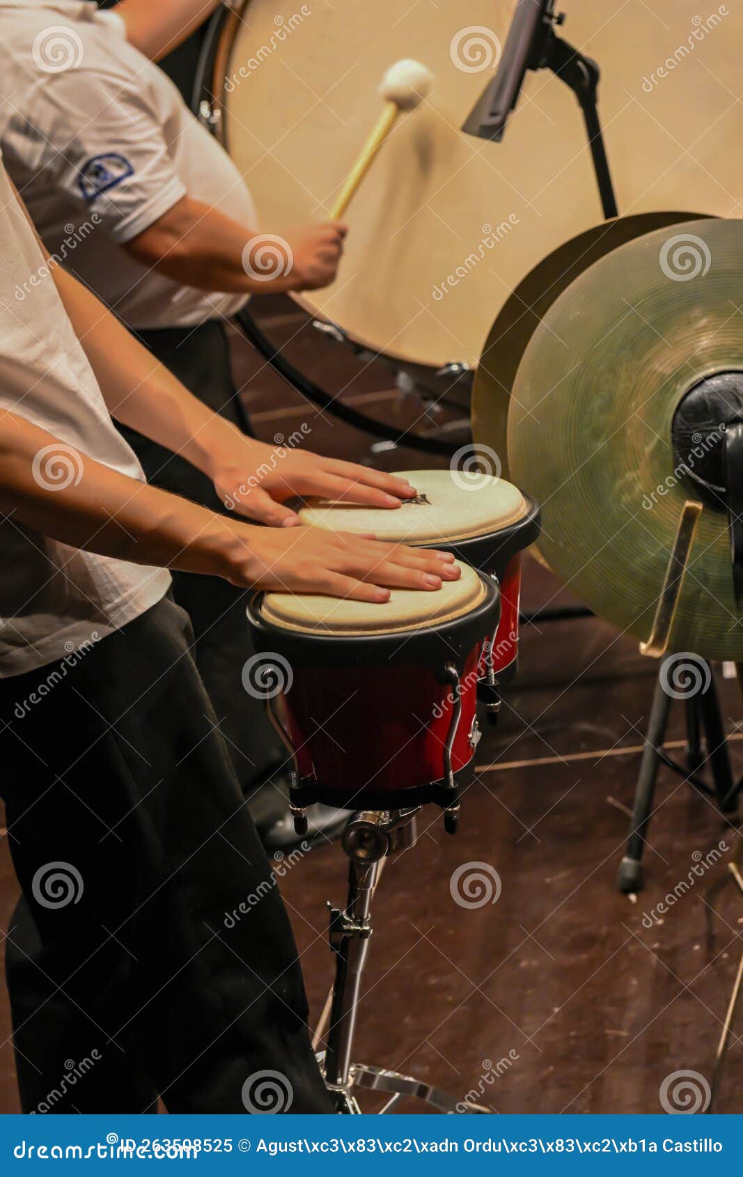 Bongos, Percussion Musical Instruments Inside the Orchestra. Stock ...