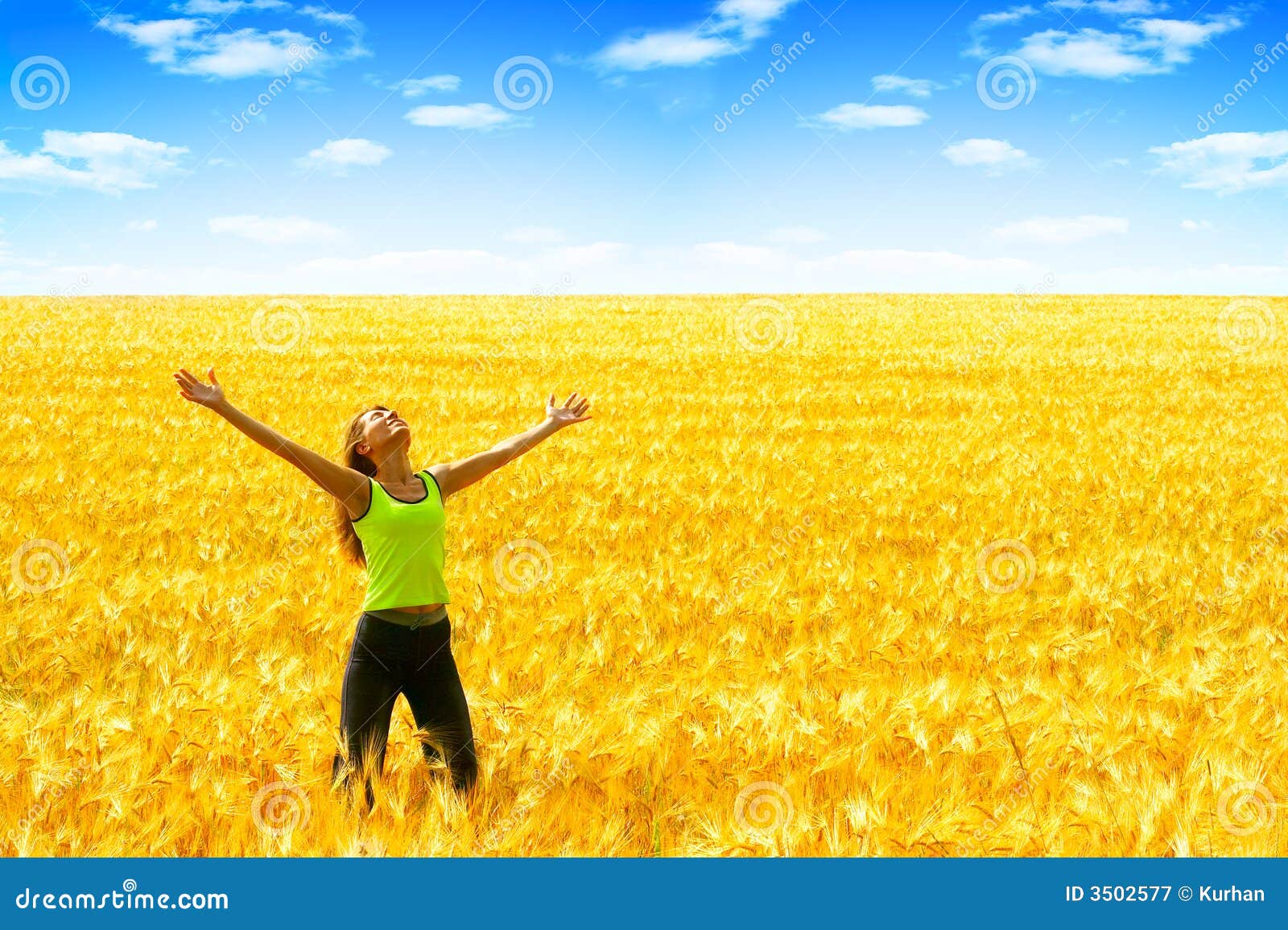 Bonheur image stock. Image du ressort, expression, joie - 3502577