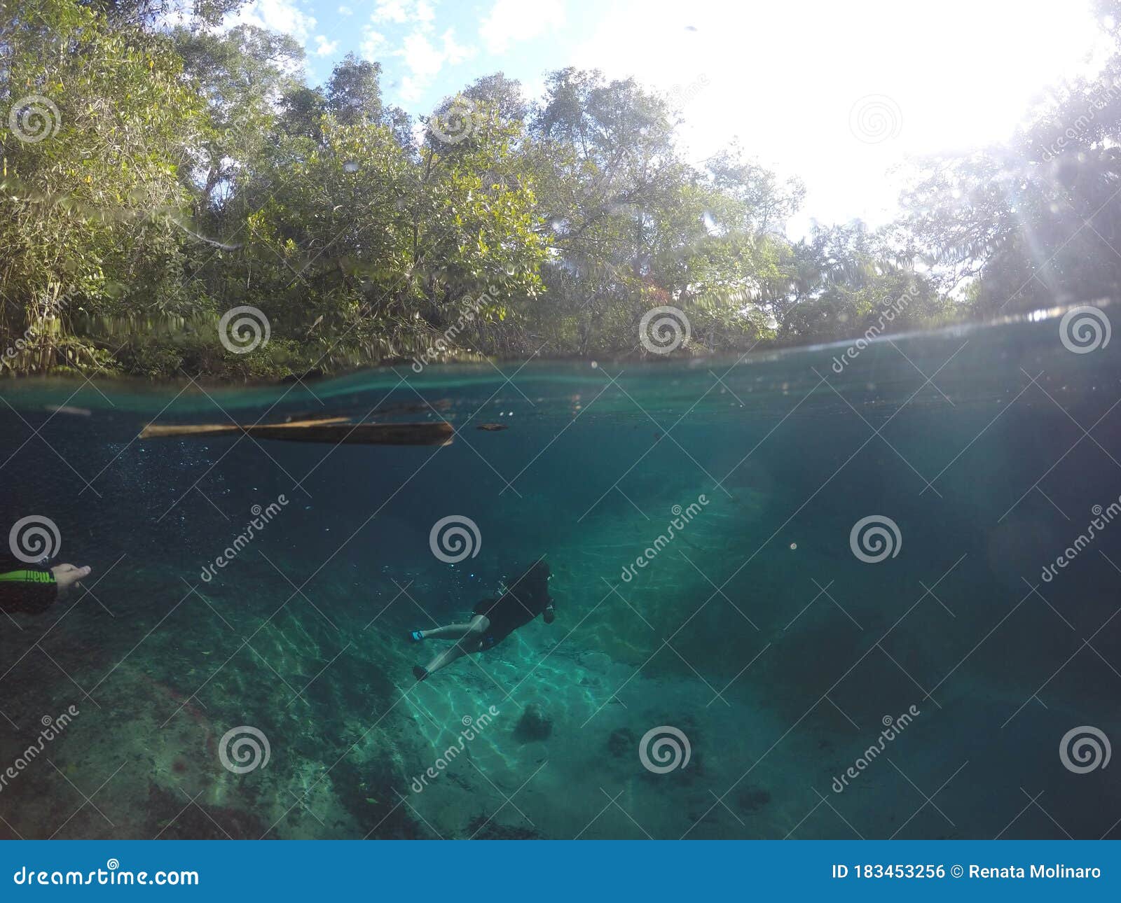 Bonito - Brazil editorial photo. Image of river, prata - 183453256