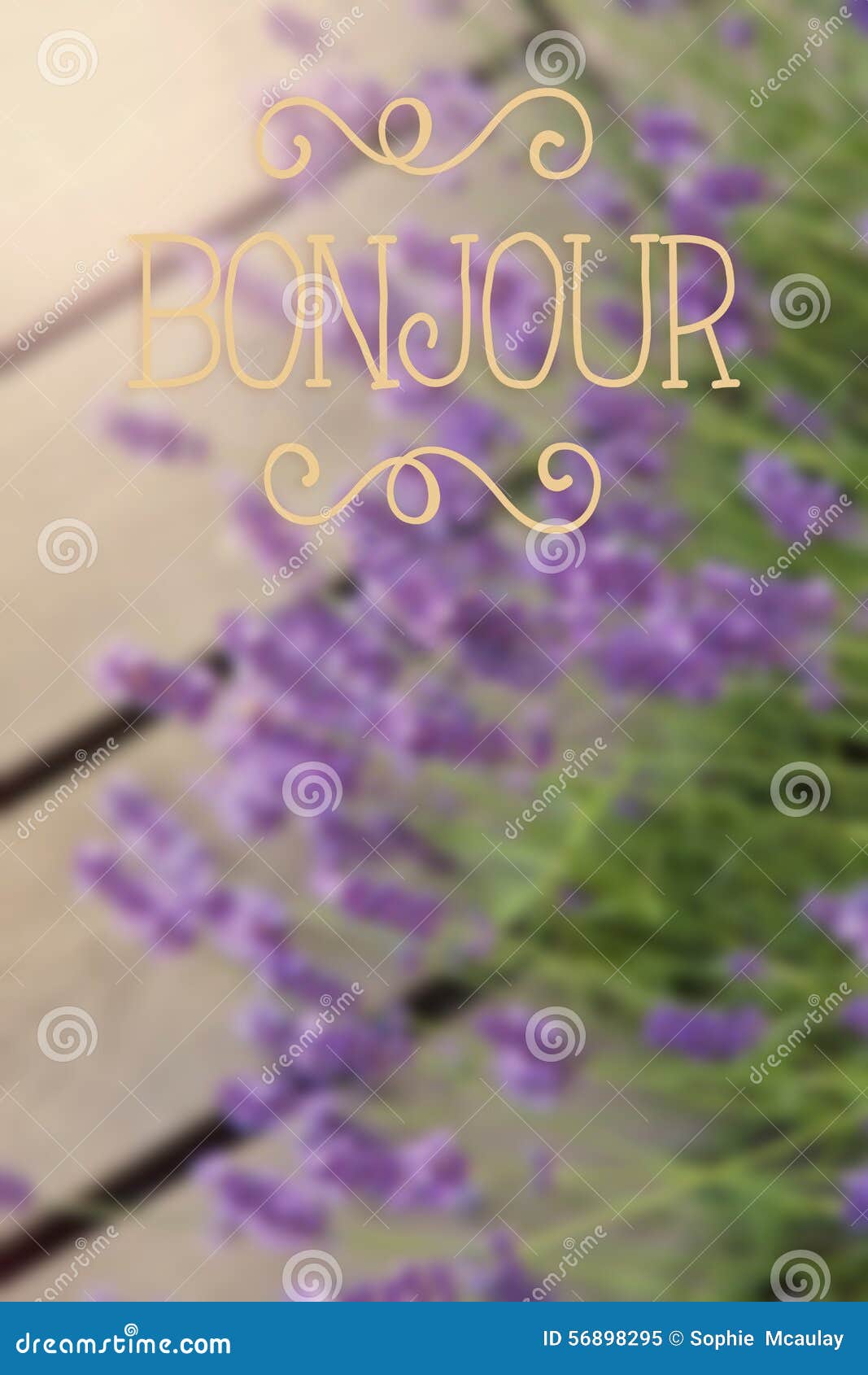 Bonjour sign stock image. Image of france, invitation - 56898295