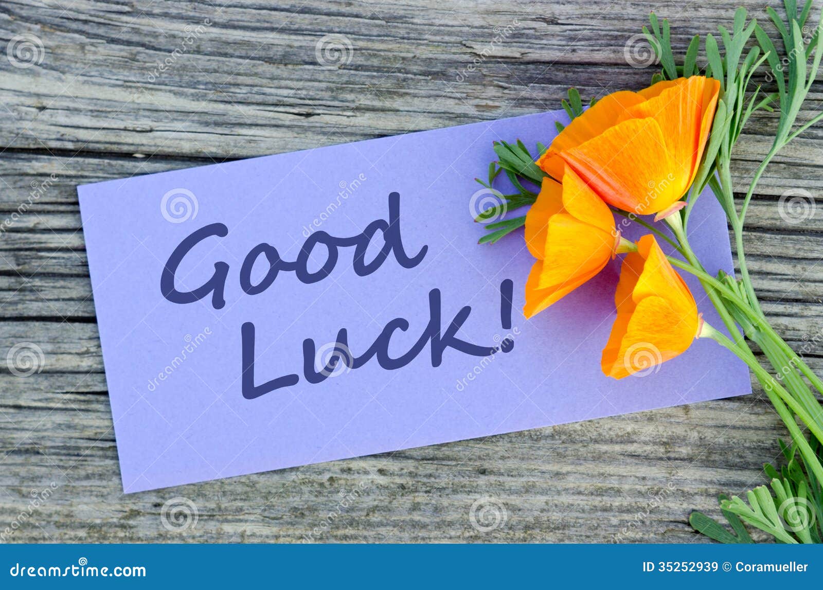 Bonne chance image stock. Image du texte, bois, chance - 35252939