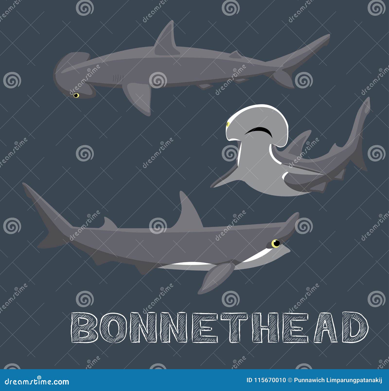 Bonnethead Cartoons, Illustrations & Vector Stock Images - 64 Pictures ...