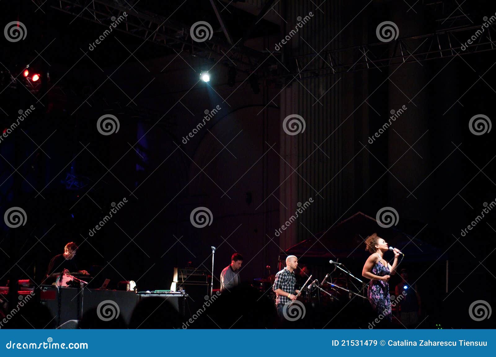 Bonobo Band and Andreya Tiara Editorial Stock Image - Image of baker ...