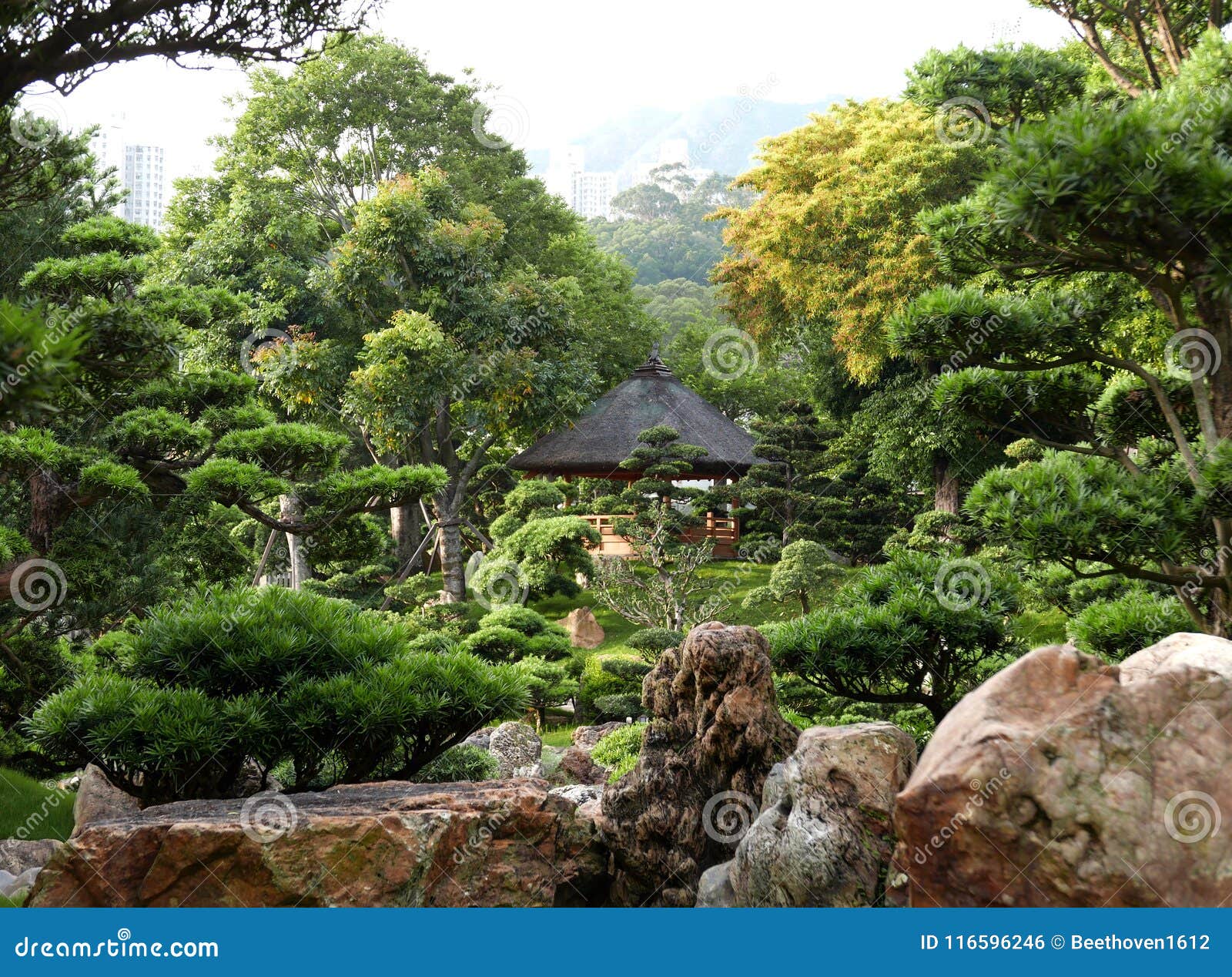 Bonsai Garden in Chi Lin Nunnery in Hong Kong Stock Photo - Image of ... Bonsai Garden in Chi Lin Nunnery in Hong Kong Stock Photo - Image of ...
