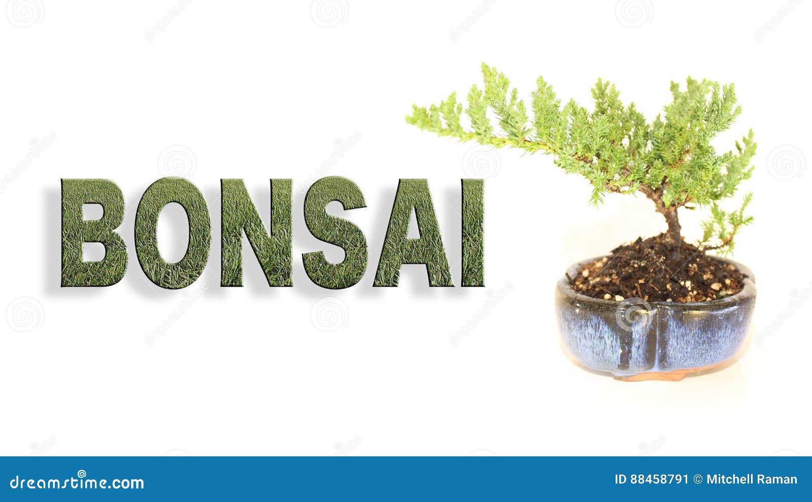 Bonsai Letters with Potted Tree Banner Stock Image - Image of shape ...