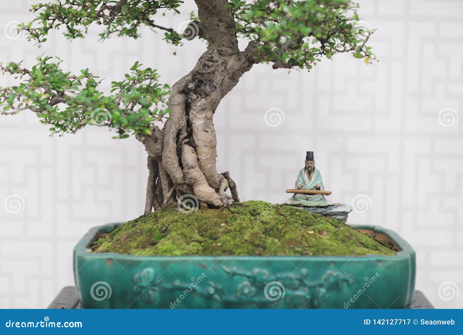 Bonsai and Penjing Landscape with Miniature Stock Image - Image of ... Bonsai and Penjing Landscape with Miniature Stock Image - Image of ...