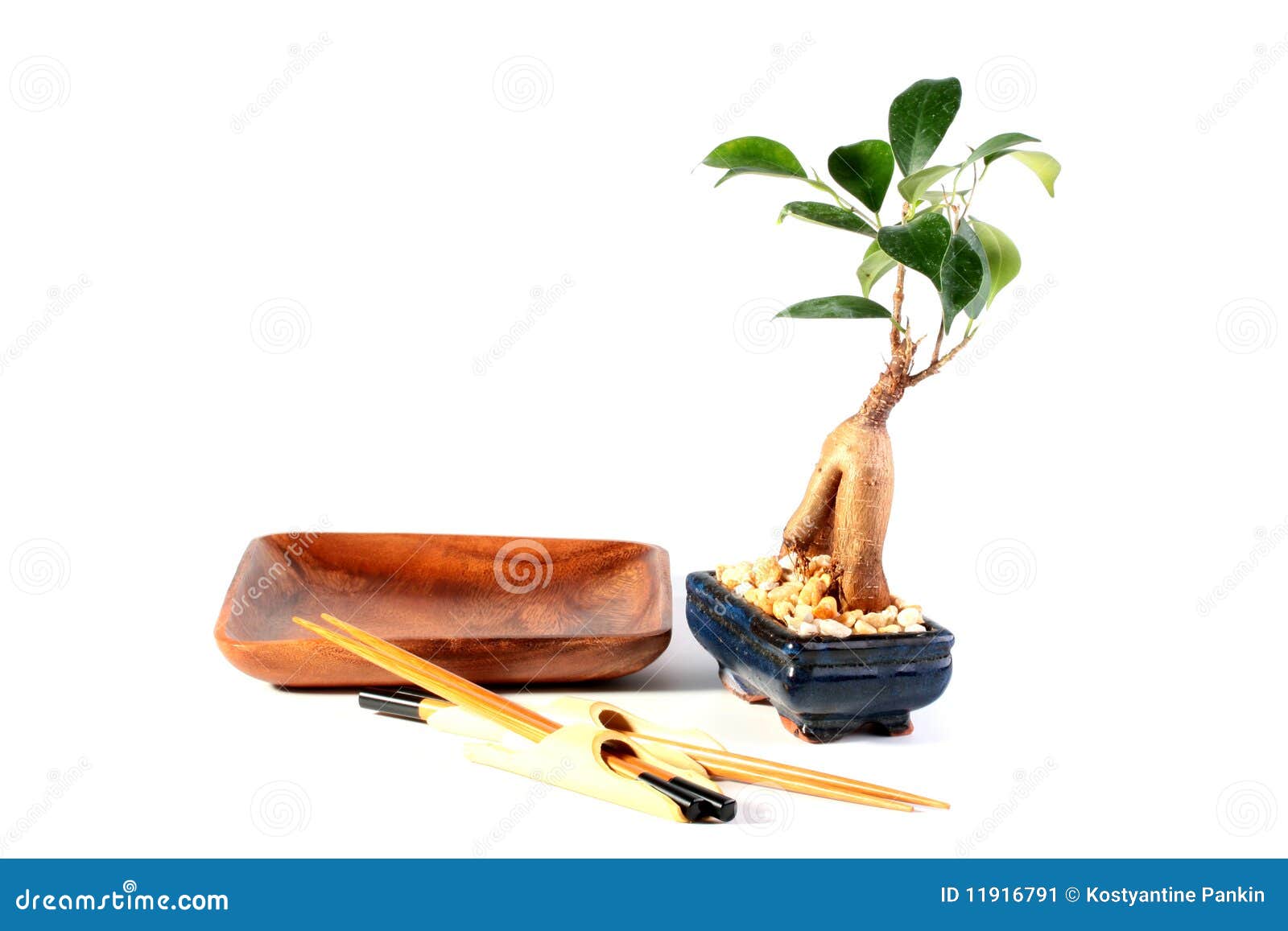 Bonsai and plate stock image. Image of japanese, stem - 11916791