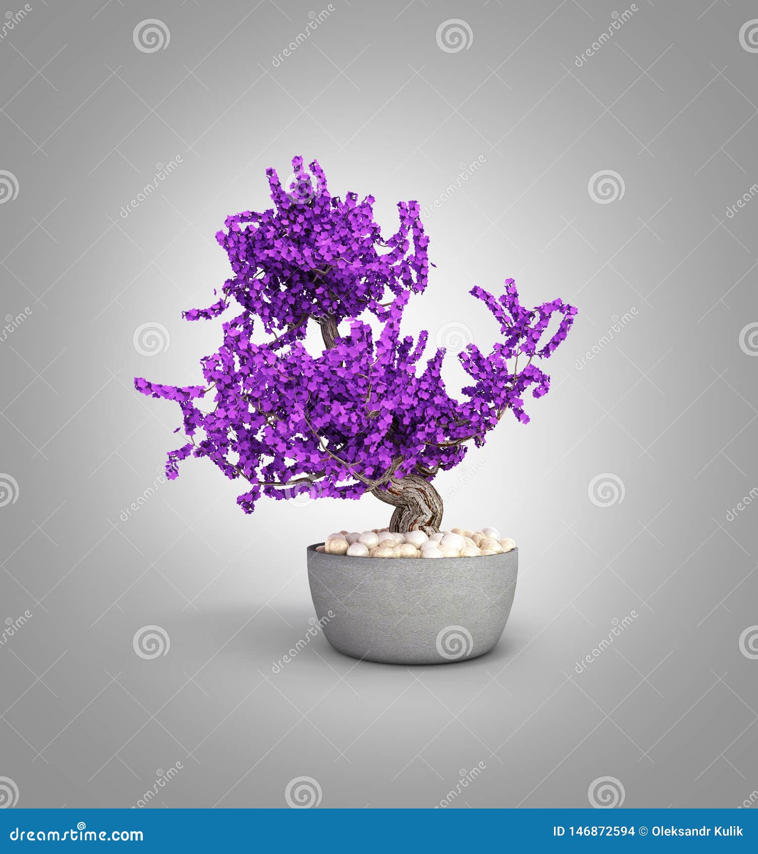 Bonsai Potted Tree Side View On Blue Gradient Background 3d Stock ...