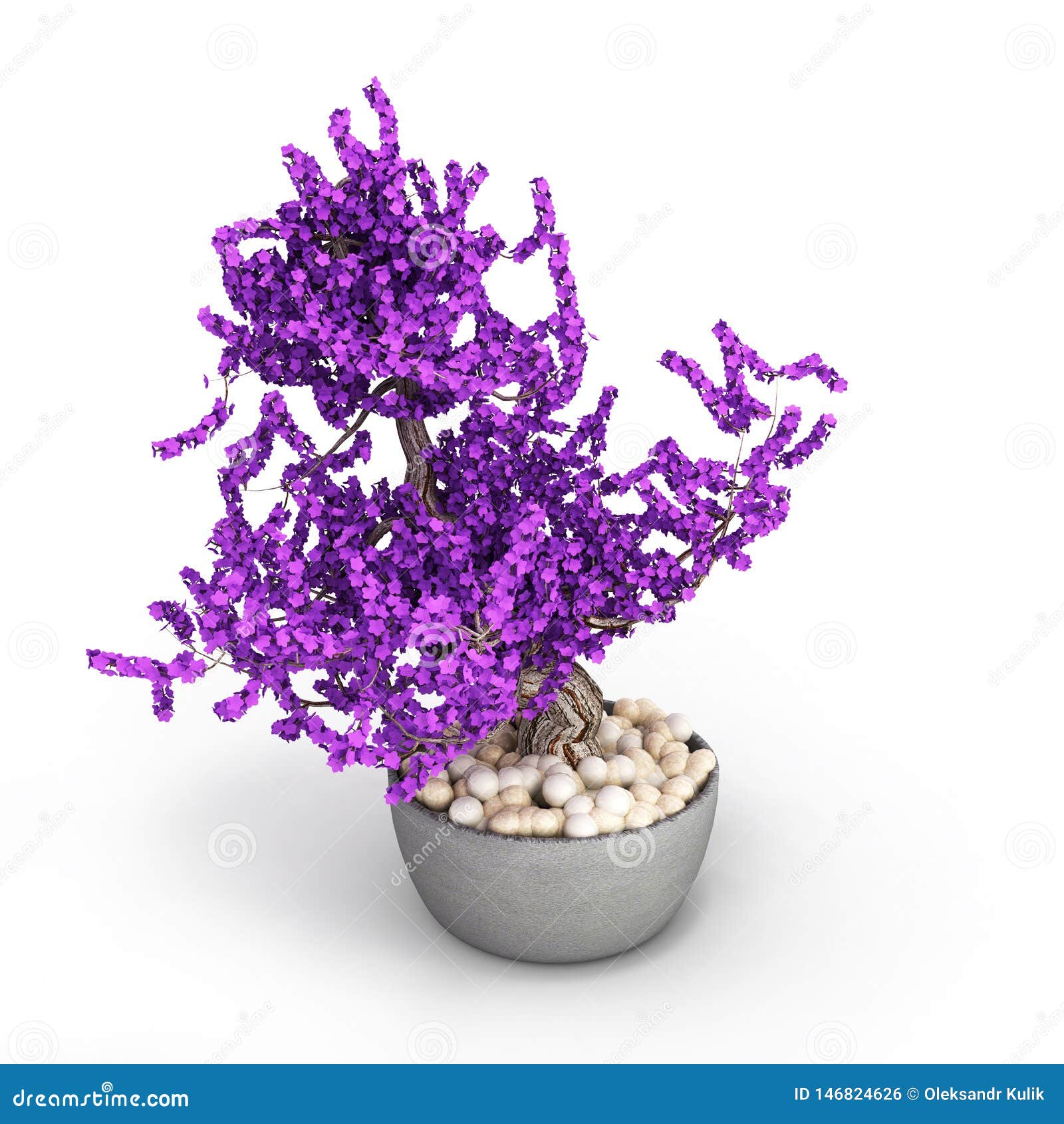 Bonsai Potted Tree Side View On Blue Gradient Background 3d Stock ...