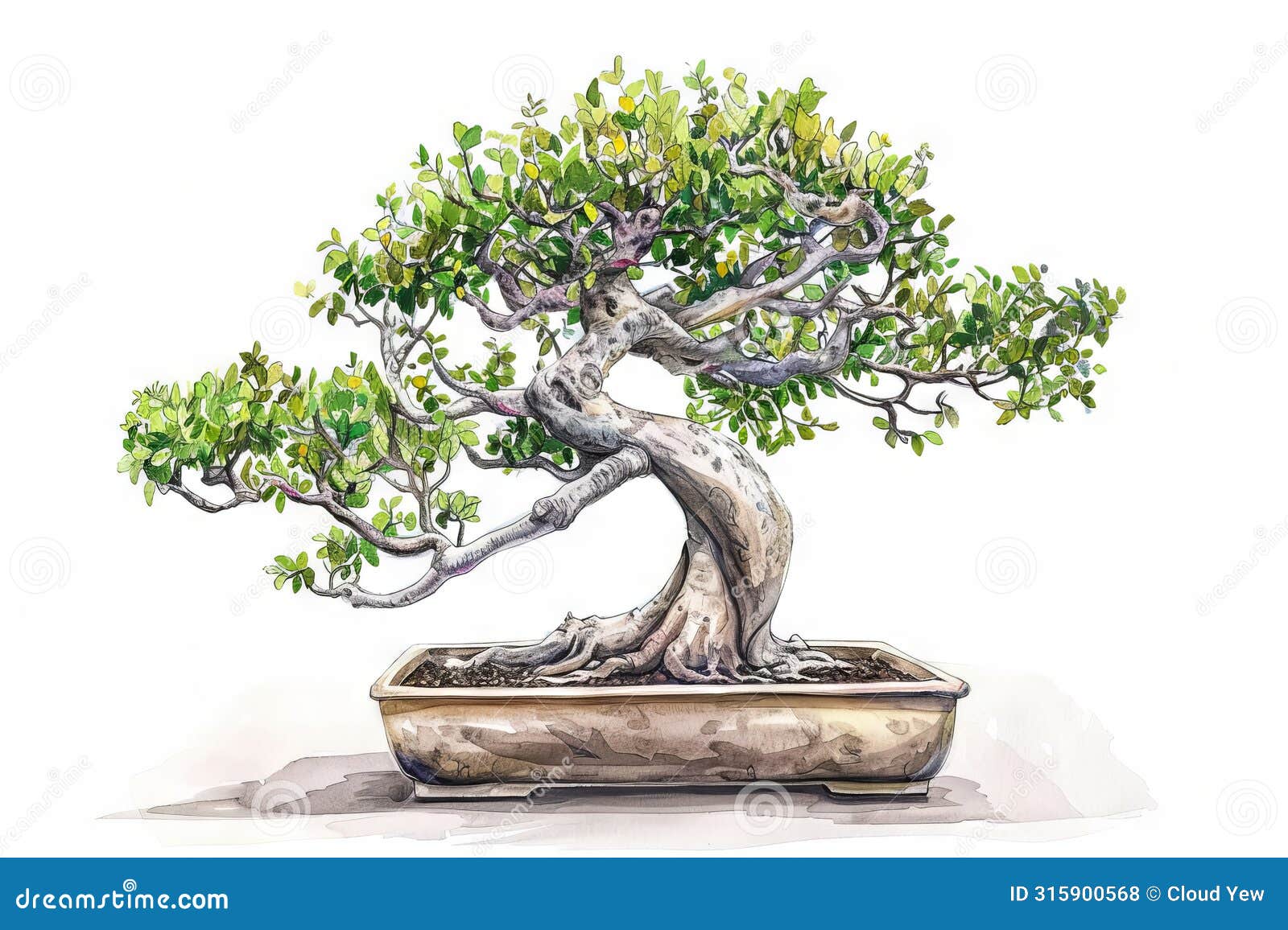 Bonsai Pruning Guide Illustration on a Soft Transparent White Surface ...