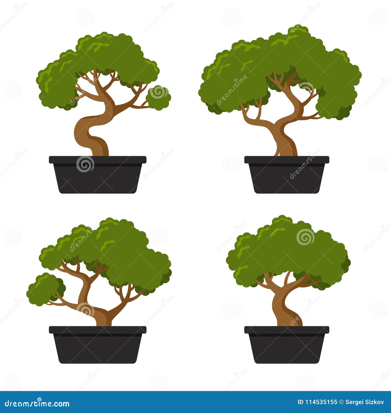 Bonsai Tree In A Pot. Japanese Art Of Growing Miniature Trees. Vector ...