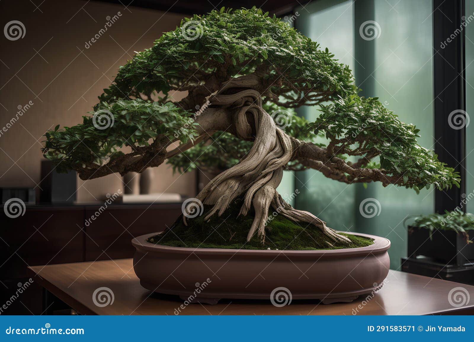 Bonsai Tree in a Pot. Bonsai on the Table Stock Illustration ...