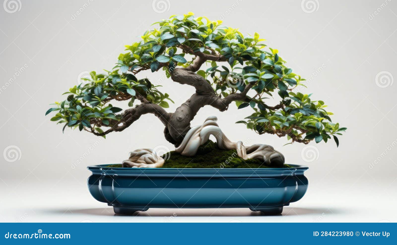 A Bonsai Tree in a Rectangular Pot. Generative AI Stock Illustration ...