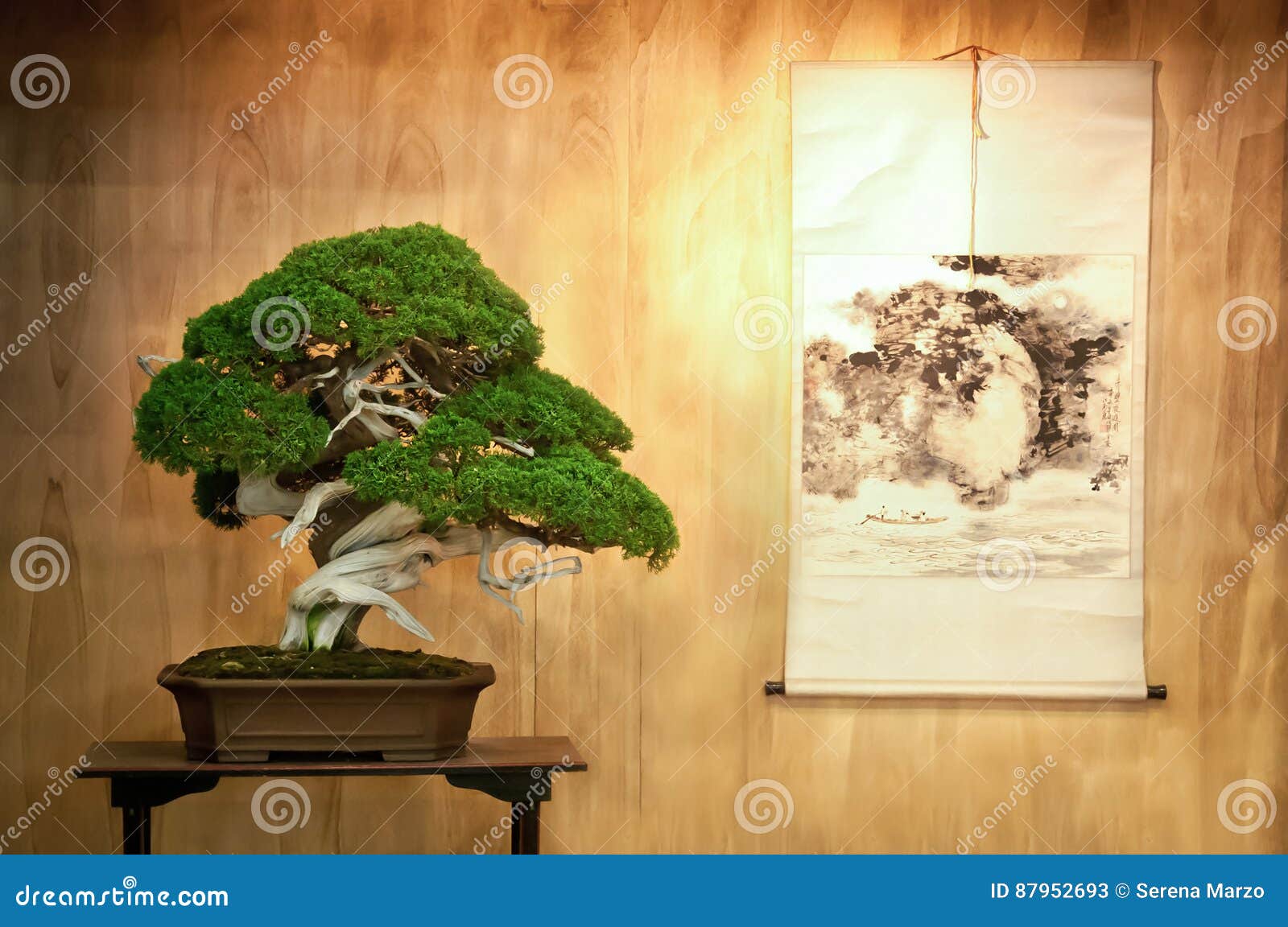 Bonsai Tree in the Tokonoma Editorial Stock Photo - Image of green ...