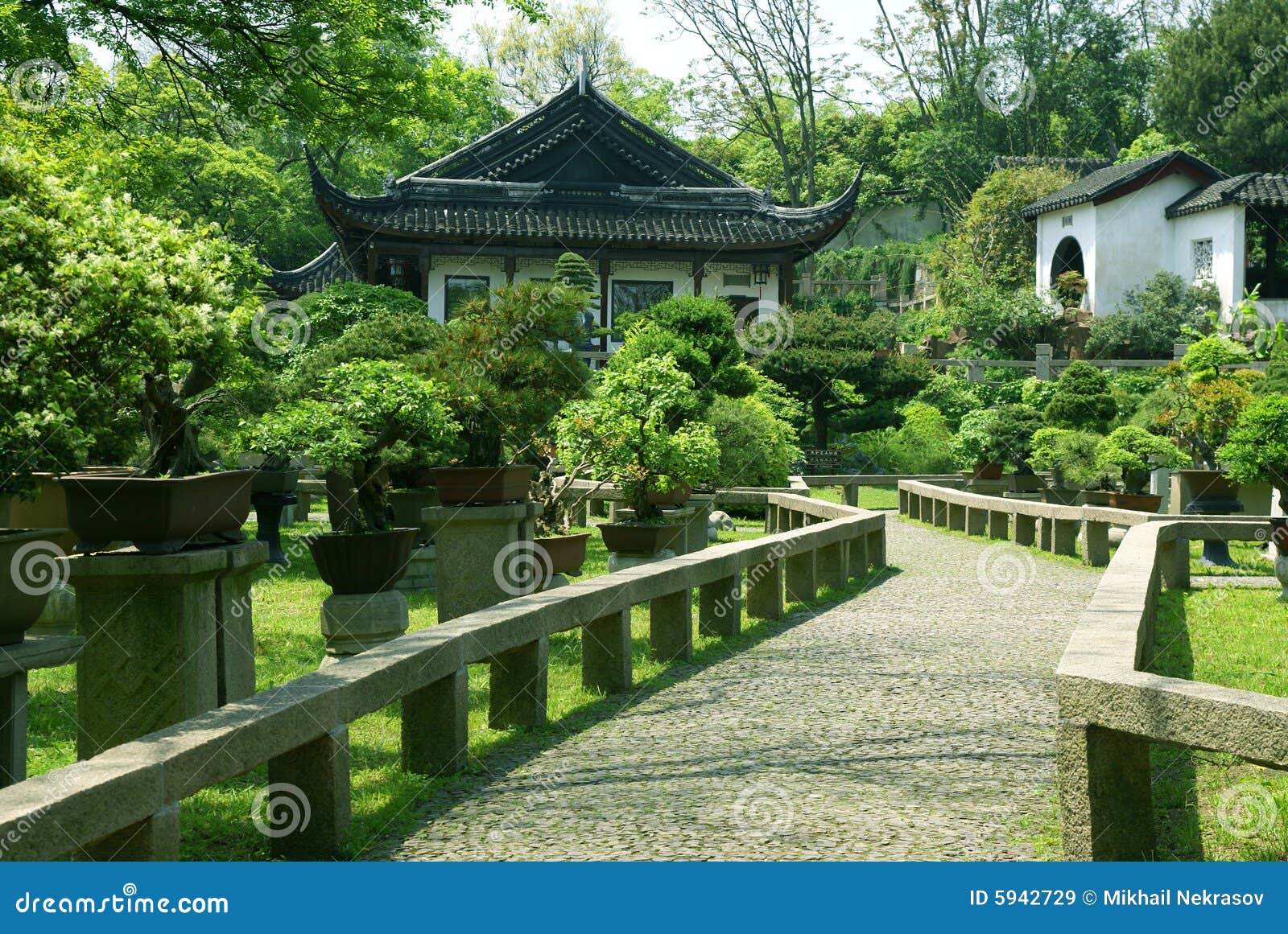 Bonsai Trees at Chinese Traditional Garden Stock Image - Image of ...