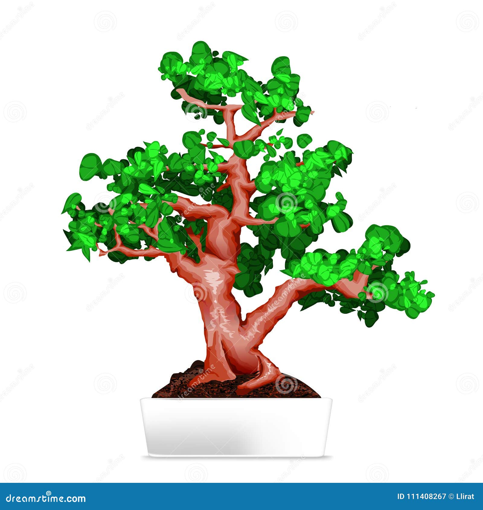 Bonsai in white pot stock vector. Illustration of indoor - 111408267