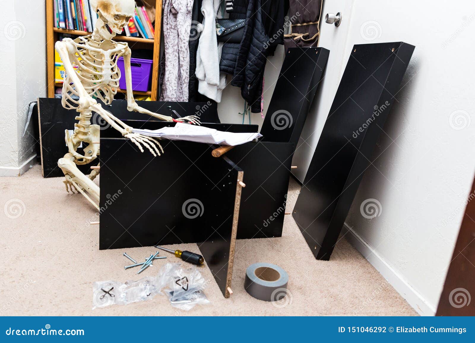 Bony Skeleton Assembling a Black Wooden Shelf Stock Photo - Image of ...