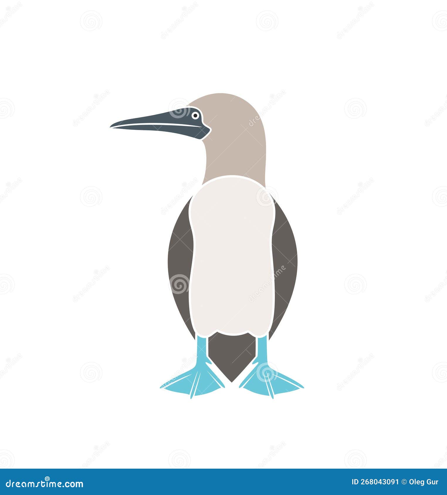 Booby Logo. Isolated Booby On White Background. Gannet Cartoon Vector ...