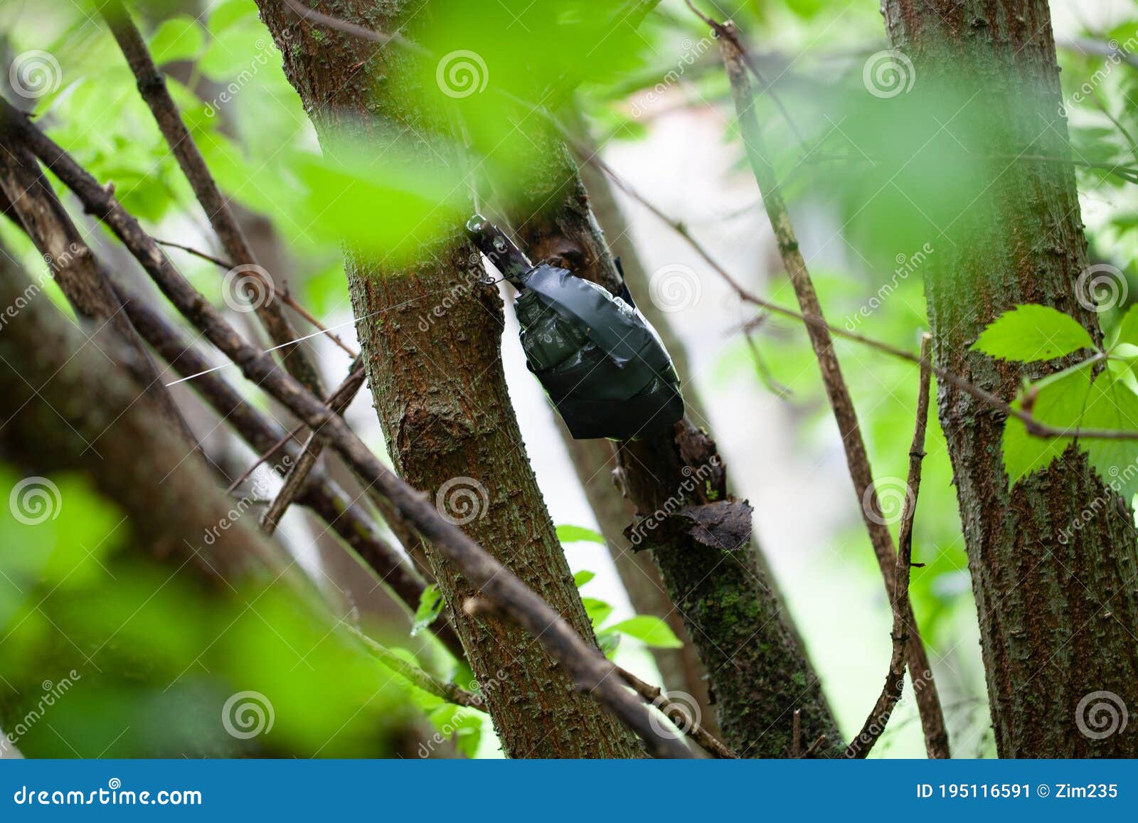 Booby Trap IED with Tripwire Stock Image - Image of handmade, nail ...