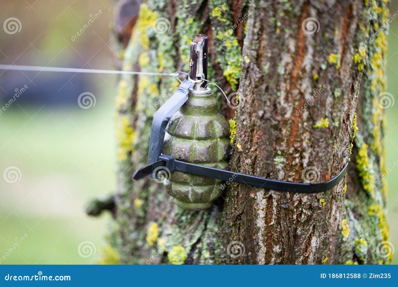 Booby Trap IED with Tripwire Stock Photo - Image of device, blast ...