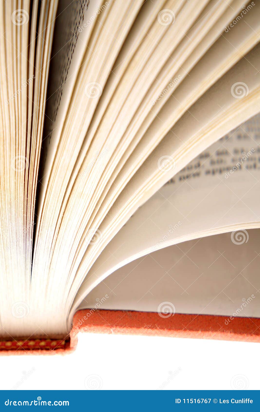 Book stock image. Image of paper, book, open, closeup - 11516767