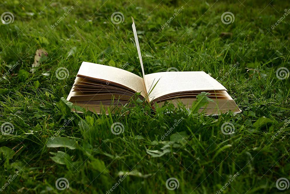 Book stock photo. Image of literature, situated, season - 199238