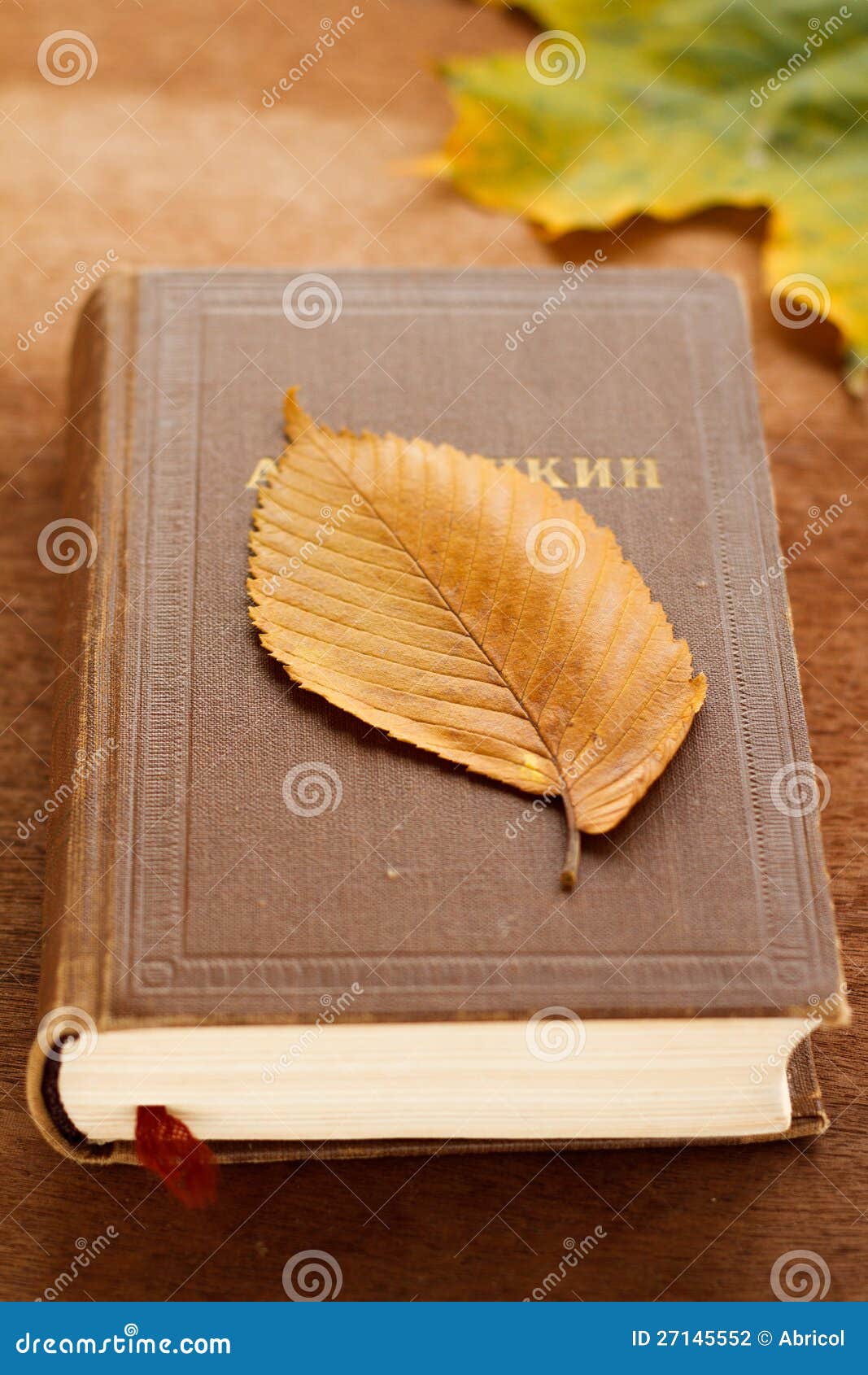 A book and an autumn leaf stock photo. Image of background - 27145552