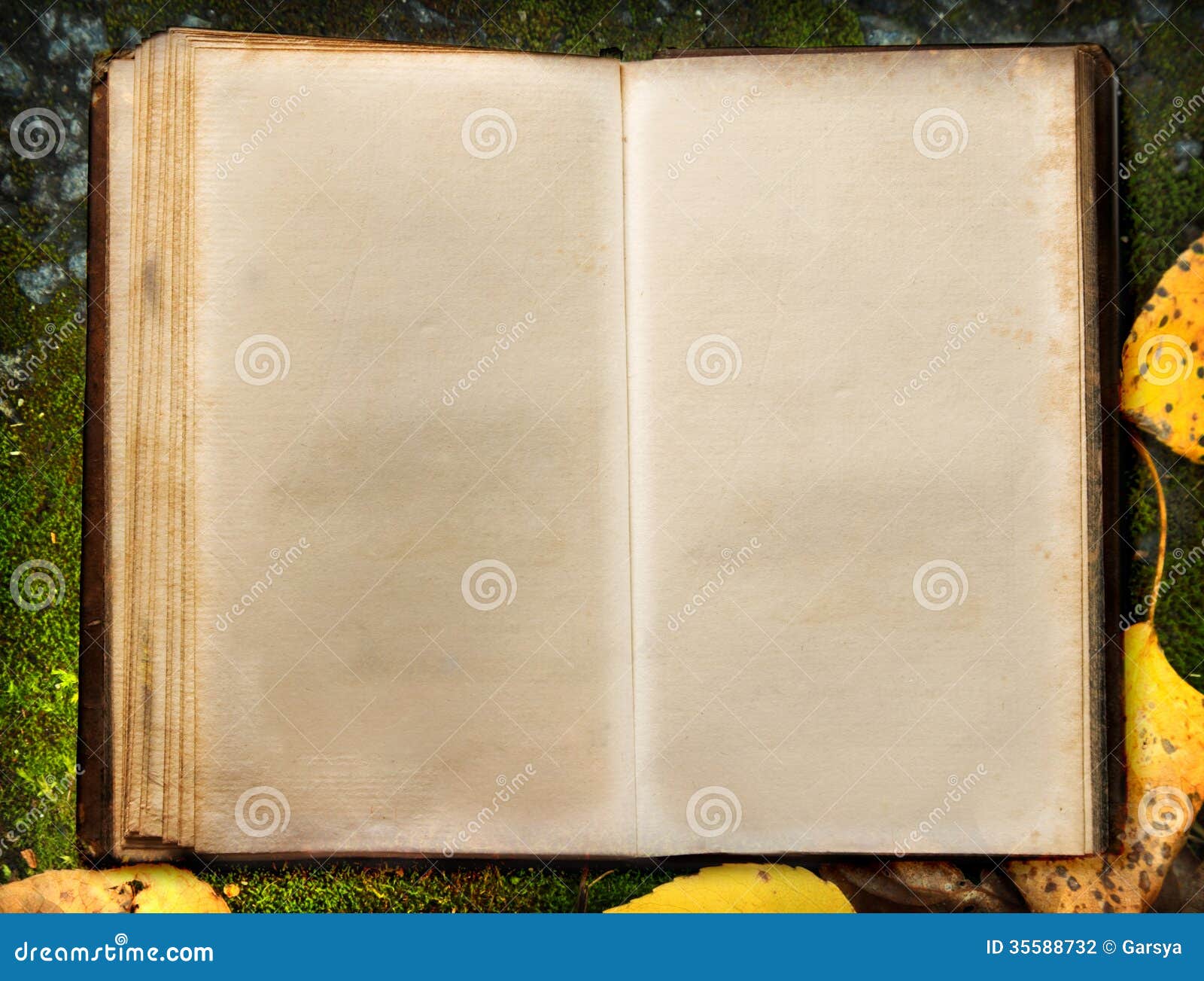 Old Fat Book With Ground Nuts Stock Image | CartoonDealer.com #106700695
