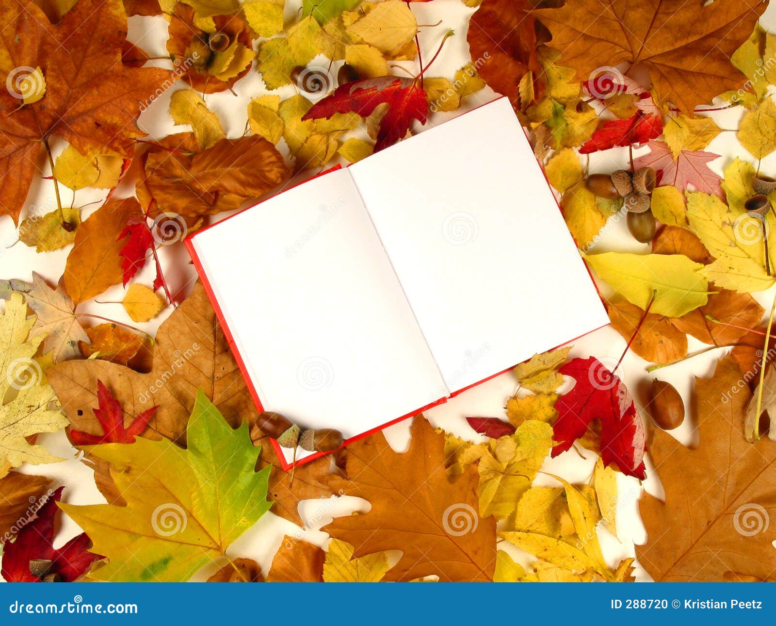 The book of autumn (serie) stock photo. Image of nature - 288720