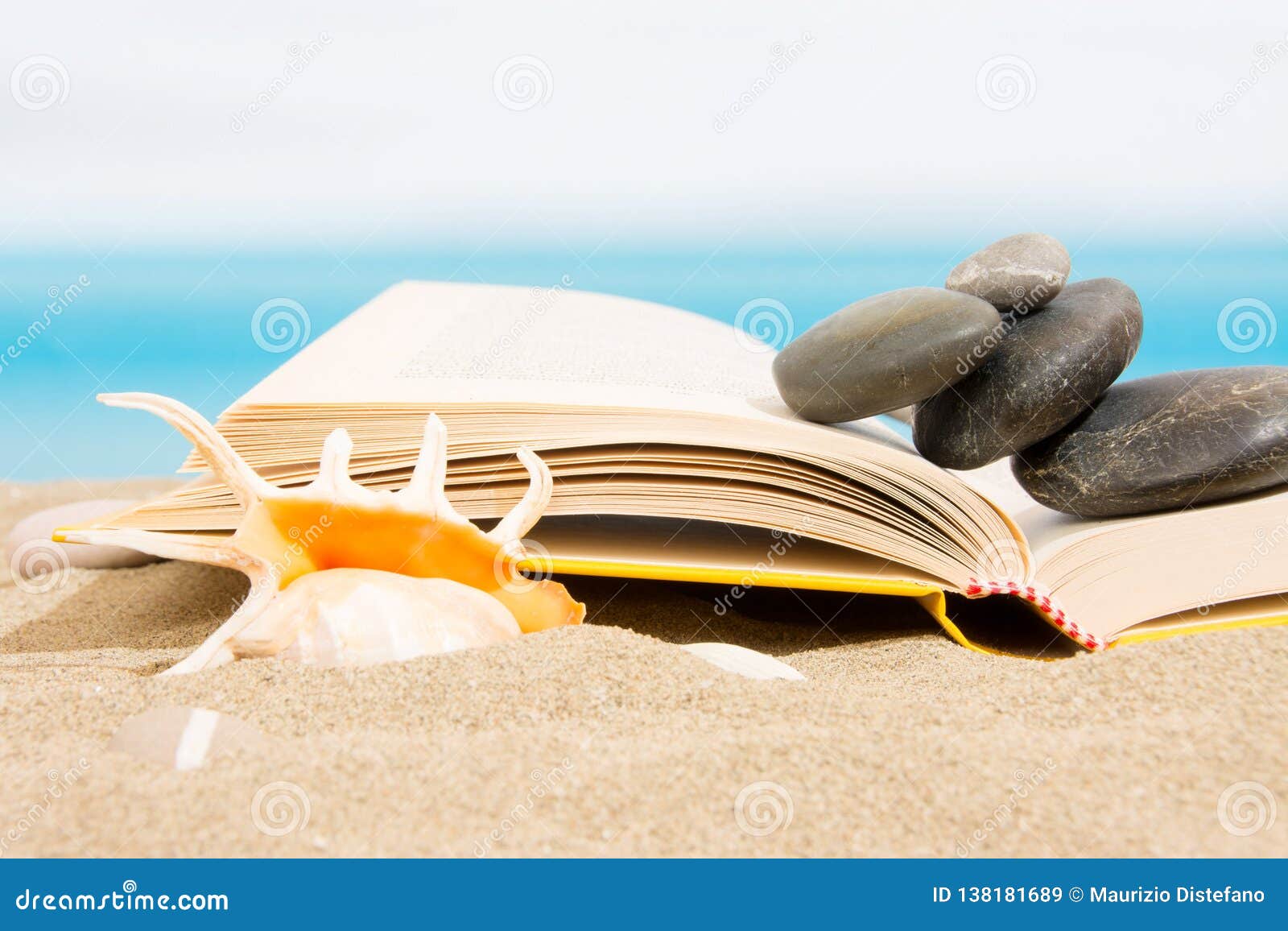 Book on the beach stock image. Image of stack, shell - 138181689