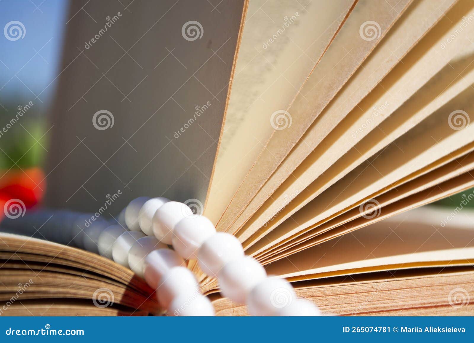 Book and Beads, Beads in a Book Close-up, Sheets of a Book, Reading a ...
