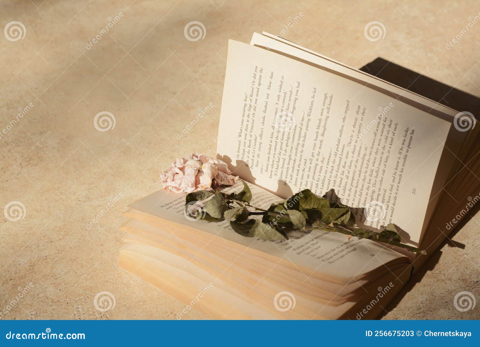 Book with Beautiful Dried Flower on Light Table Stock Image - Image of ...