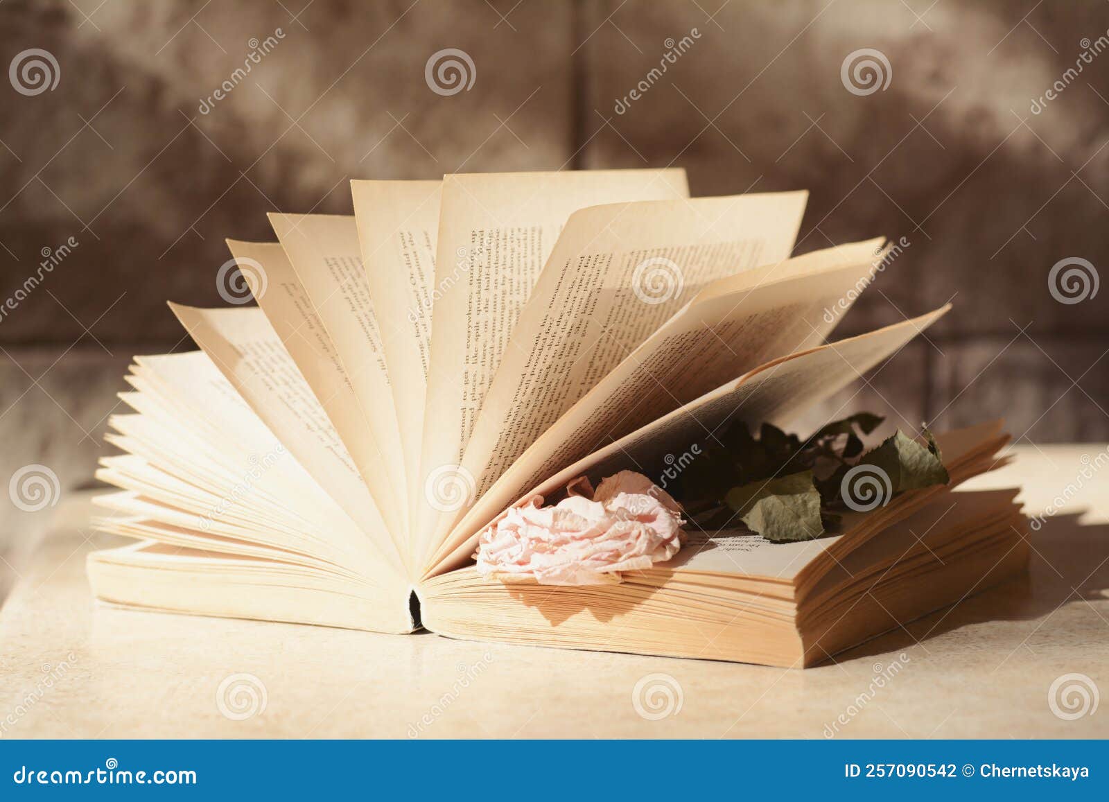 Book with Beautiful Dried Flower on Light Table Stock Photo - Image of ...
