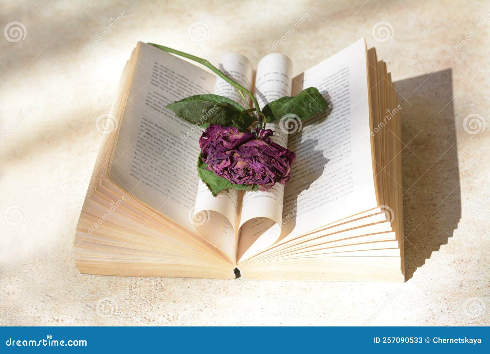 Book with Beautiful Dried Flower on Light Table, Above View Stock Image ...