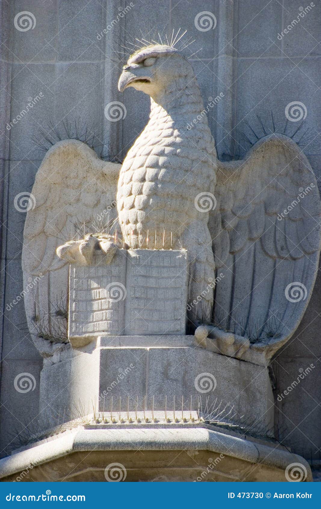 Book Bird stock photo. Image of bird, brain, book, stern - 473730