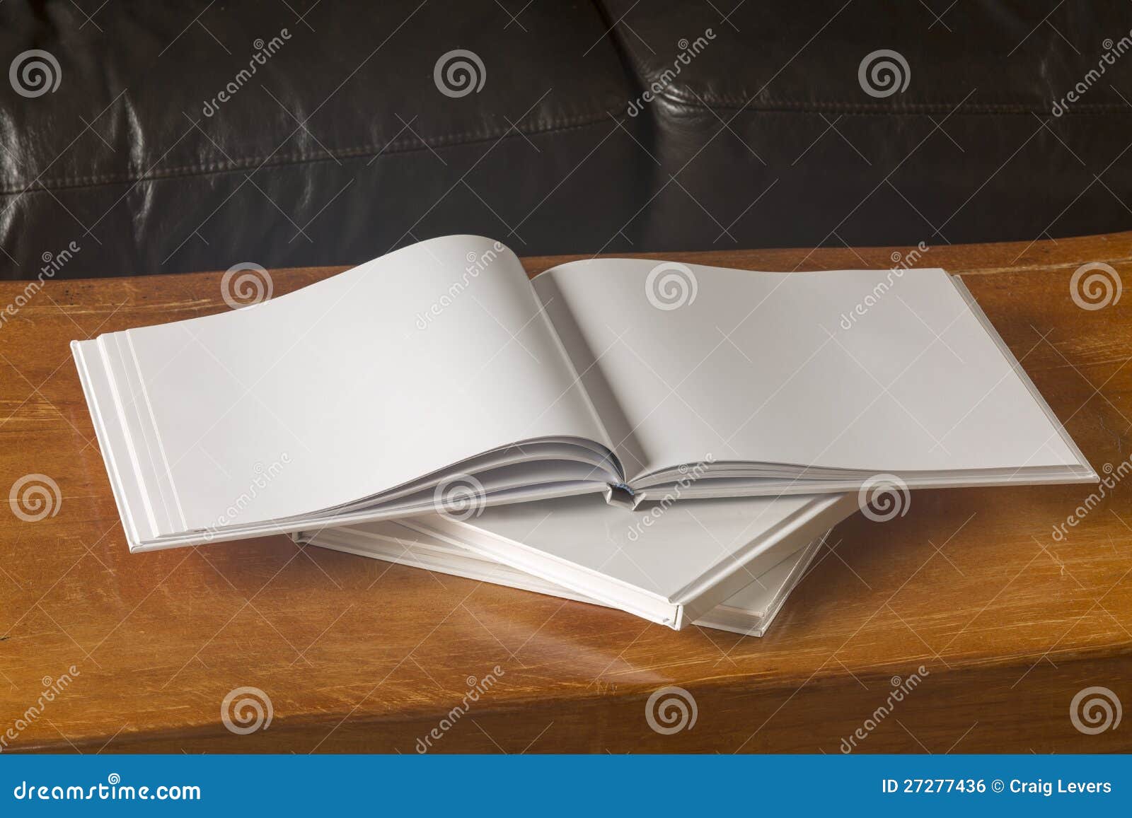 Book Blank stock photo. Image of table, reading, book - 27277436
