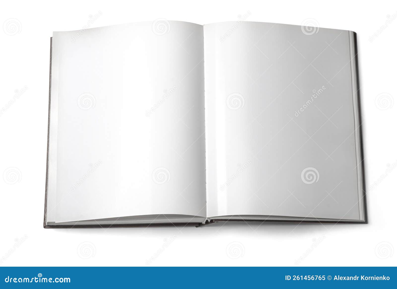 Book with blank page stock image. Image of paper, empty - 261456765