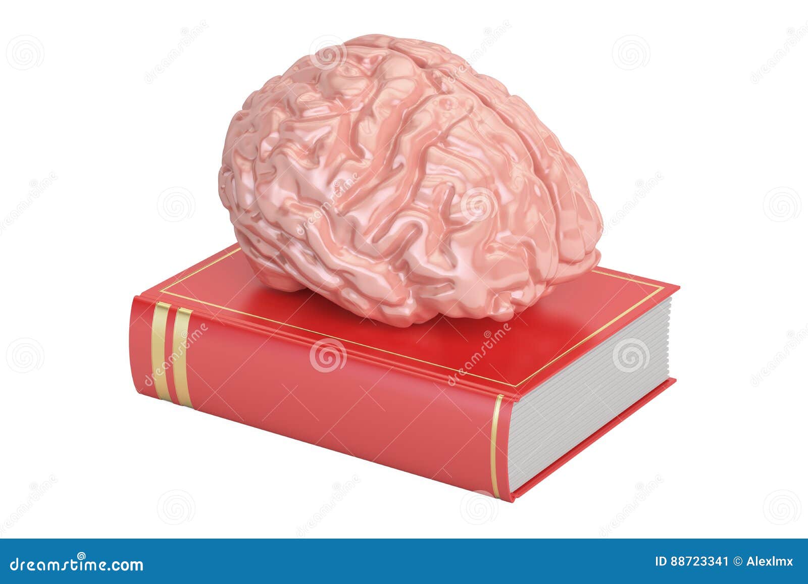 Book with Brain, Knowledge Concept. 3D Rendering Stock Illustration ...