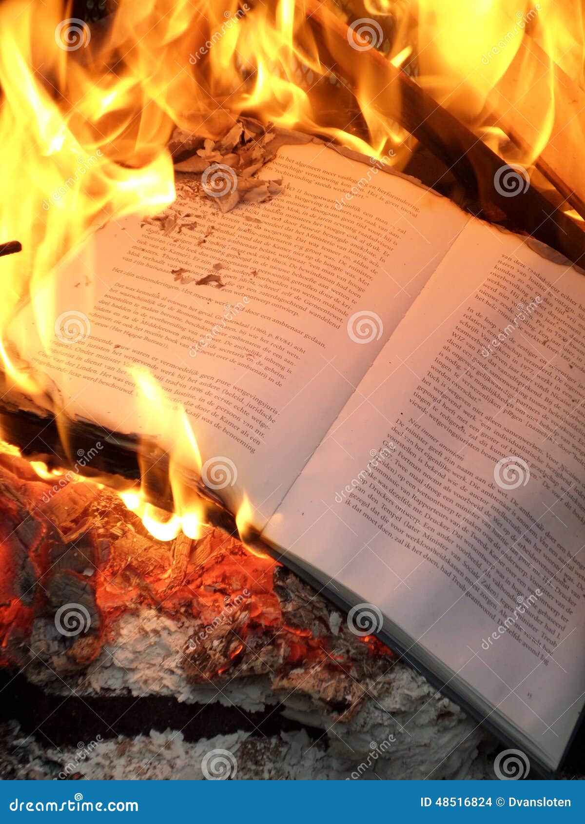 Book burning stock photo. Image of fireplace, tolerance - 48516824