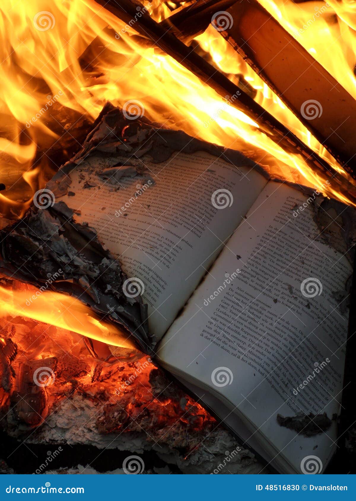 Book burning stock photo. Image of forbidden, flame, scorching - 48516830