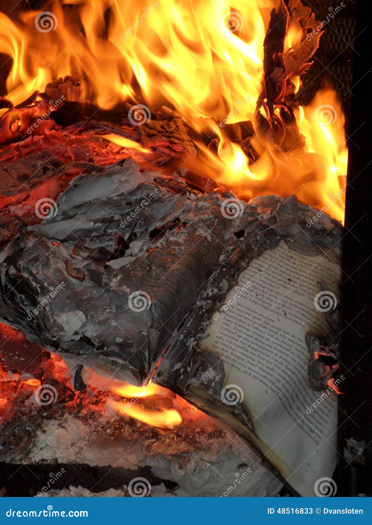 Book burning stock image. Image of doomsday, transience - 48516833