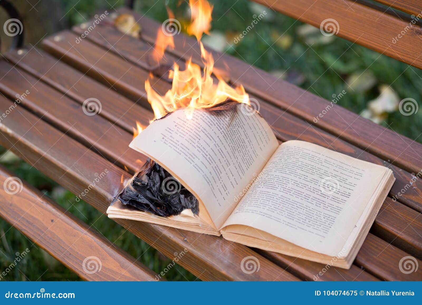 The book burns. stock image. Image of ashes, decay, book - 104074675