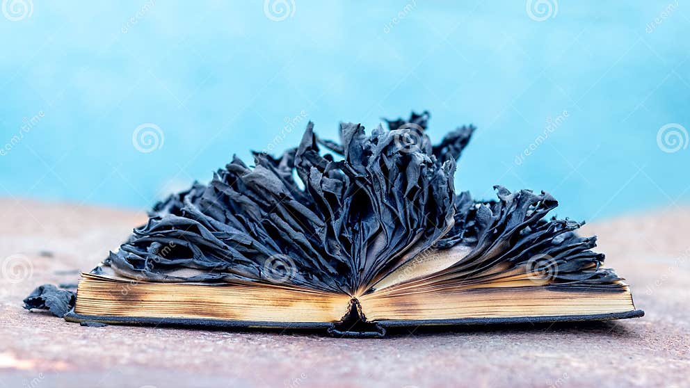 A Book with Charred Pages is Opened Stock Photo - Image of read ...