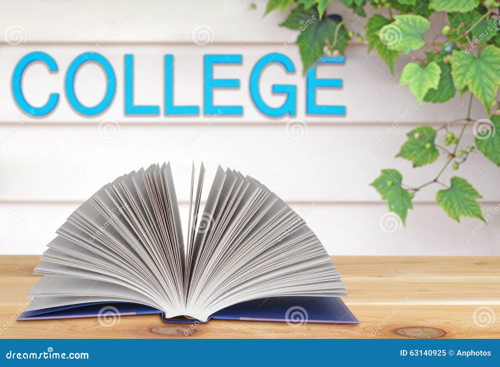 Book and college stock image. Image of textbook, green - 63140925