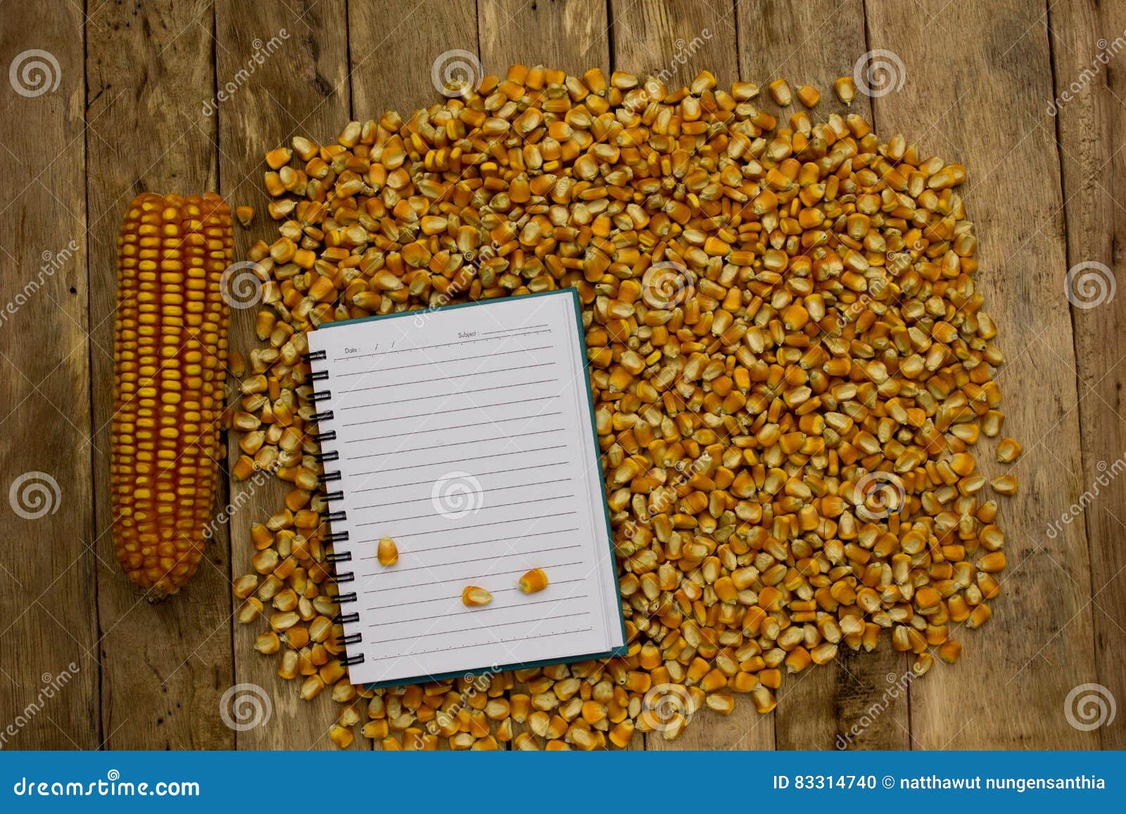 Book on corn stock photo. Image of background, grain - 83314740