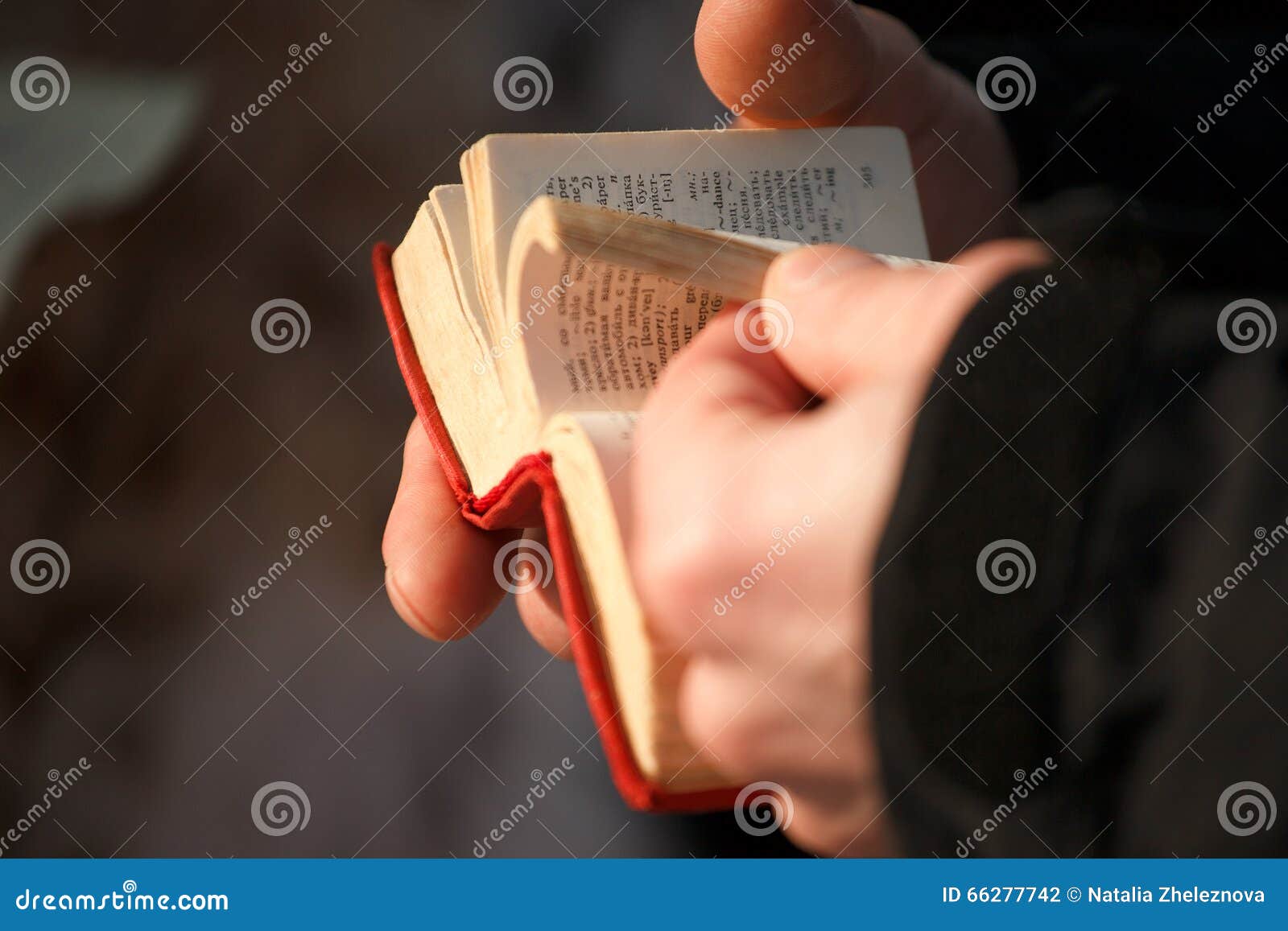 The Book the Dictionary in Hands Stock Photo - Image of streetn ...