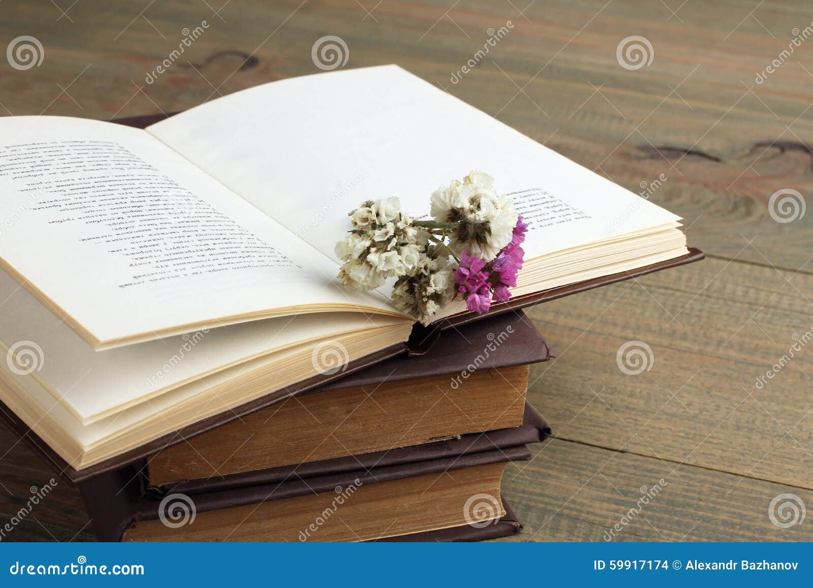 Book and dried flowers stock photo. Image of retro, flowers - 59917174