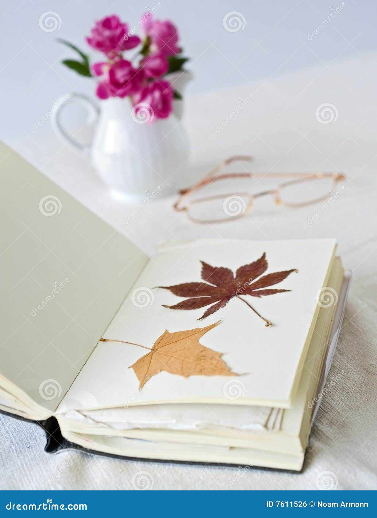Book with dry leaves stock photo. Image of learn, culture - 7611526